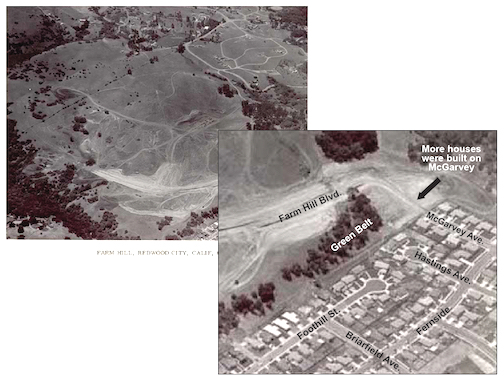 Future Farm Hills with street names | Pamela Frost Dennis